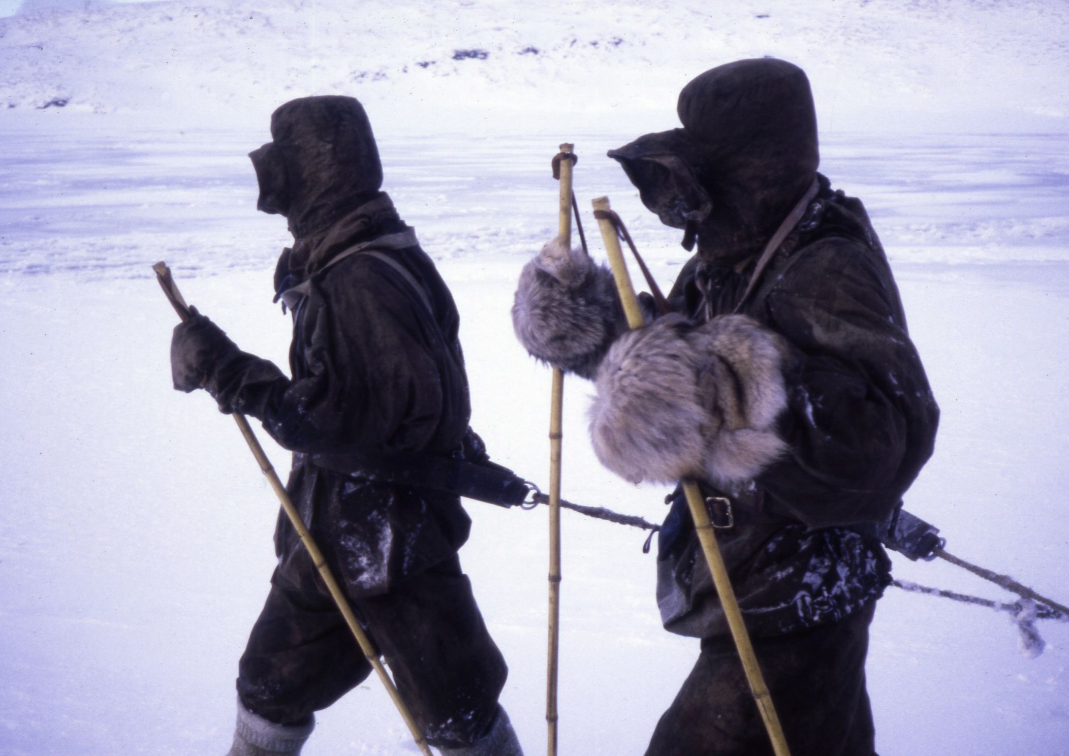 Shackleton – Simply Media DVD Review | Archive Television Musings